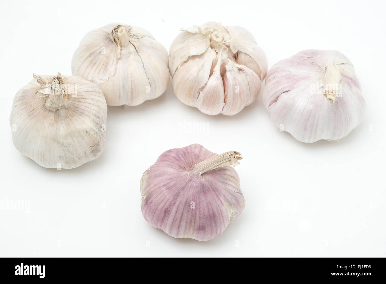 garlic on white background Stock Photo - Alamy