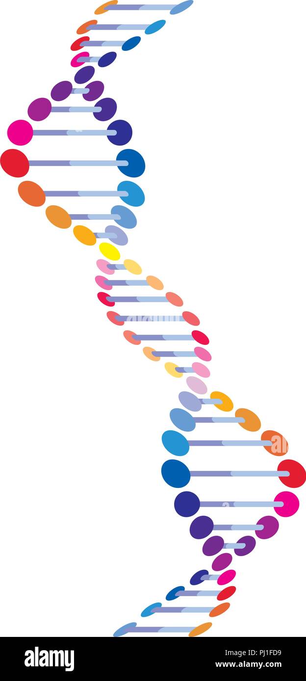 vertical dna chain science colorful icon Stock Vector Image & Art - Alamy