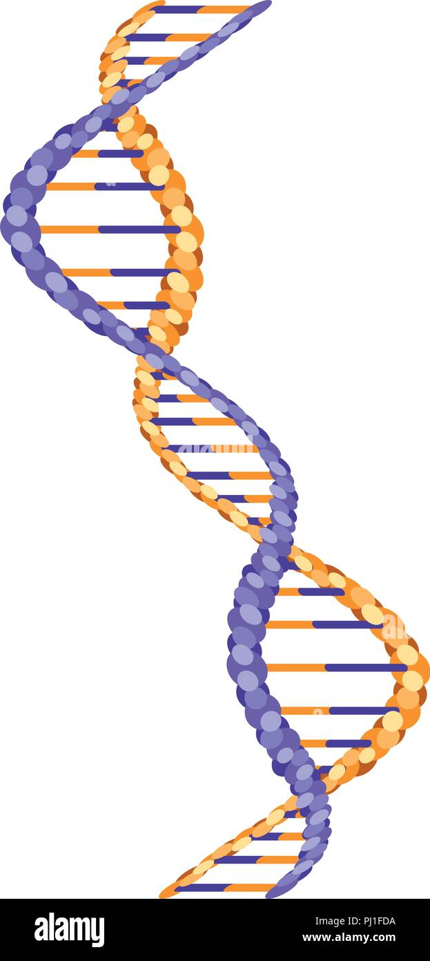 vertical dna chain science icon Stock Vector Image & Art - Alamy