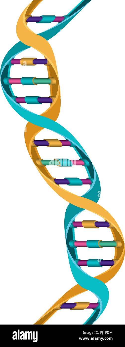 Dna Chain