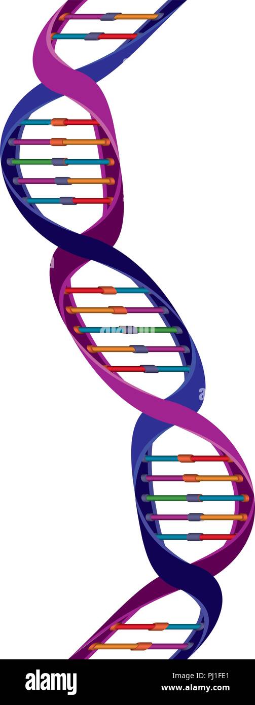 vertical dna chain science icon Stock Vector Image & Art - Alamy