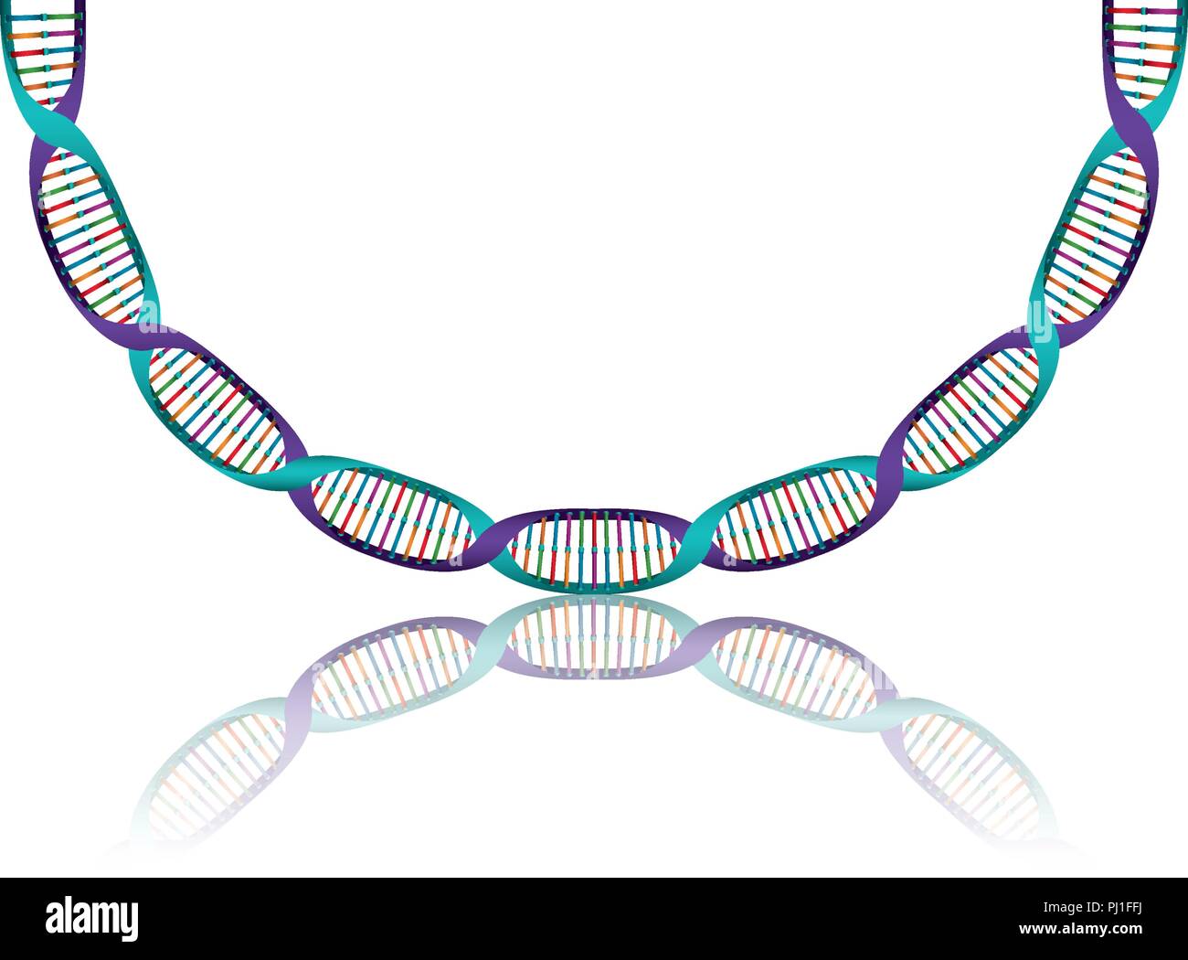 dna chain with curve science colorful icon Stock Vector Image & Art - Alamy