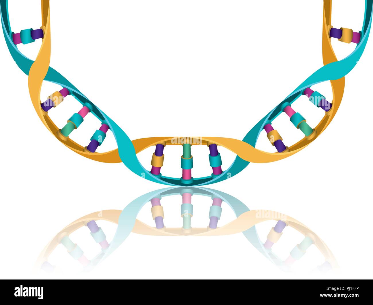 dna chain with curve science colorful icon Stock Vector Image & Art - Alamy