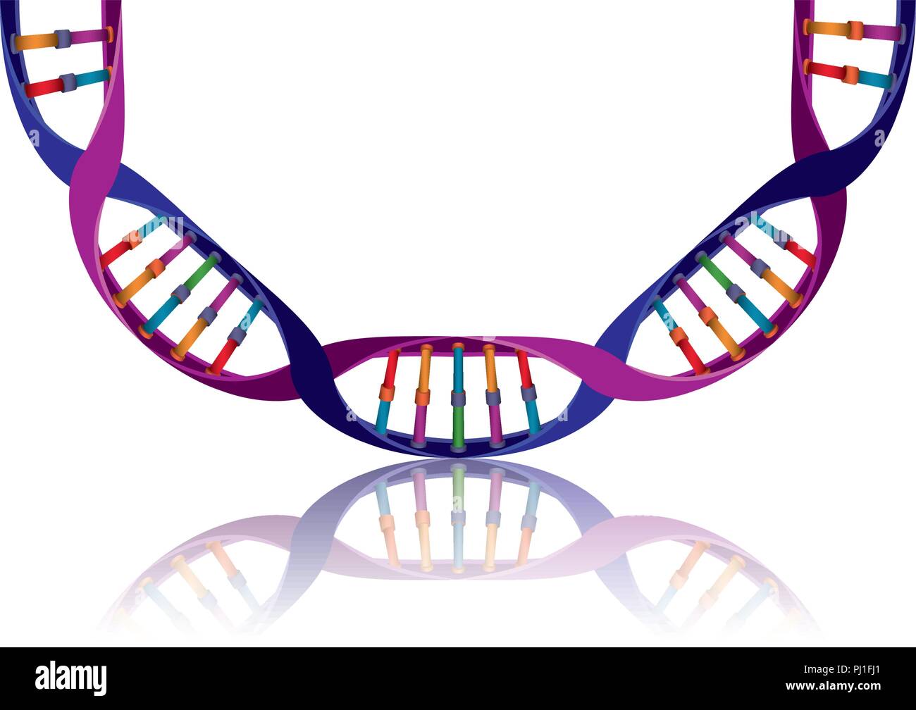 dna chain with curve science colorful icon Stock Vector Image & Art - Alamy