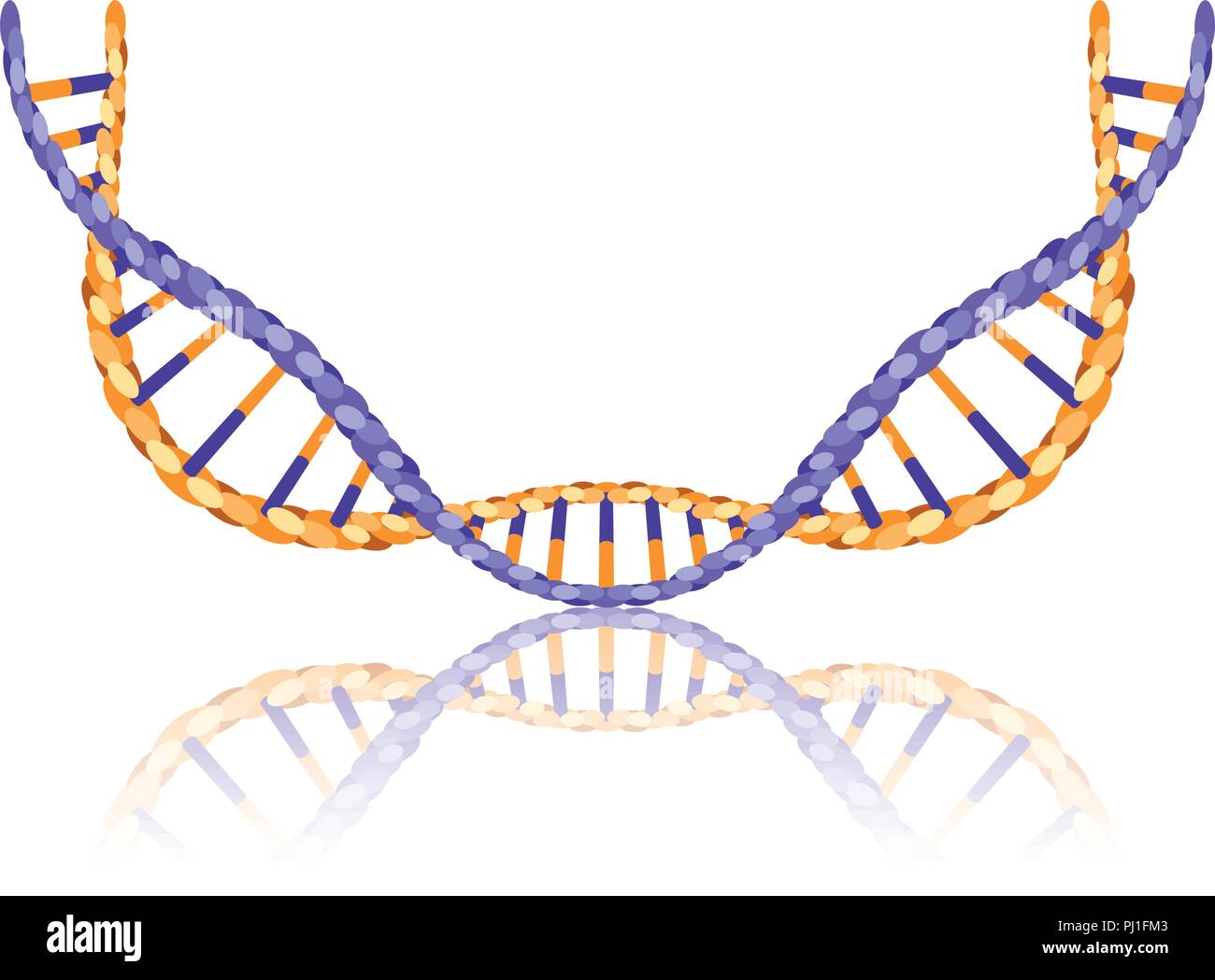 Half helix Stock Vector Images - Alamy