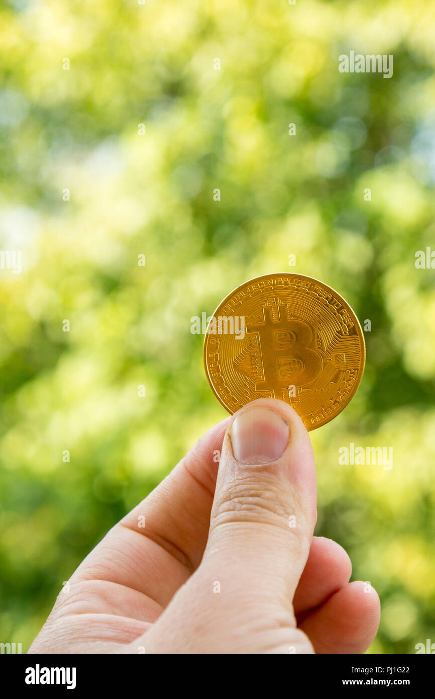 Holding bitcoin in hand with yellow blur background, bitcoin concept ...