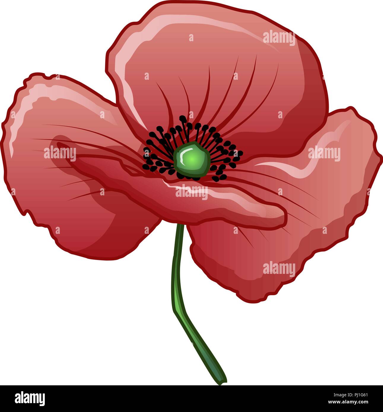 Summer poppy fields Stock Vector Images - Alamy