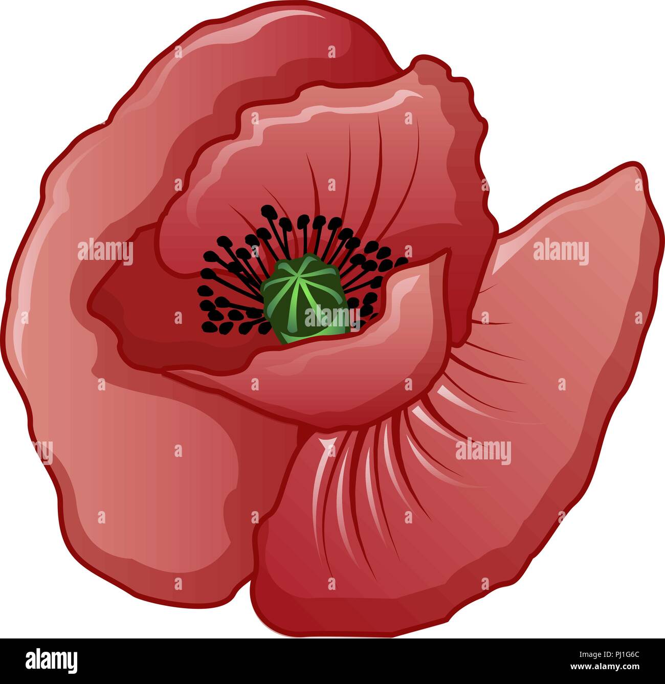 Spring red poppy icon, cartoon style Stock Vector Image & Art - Alamy