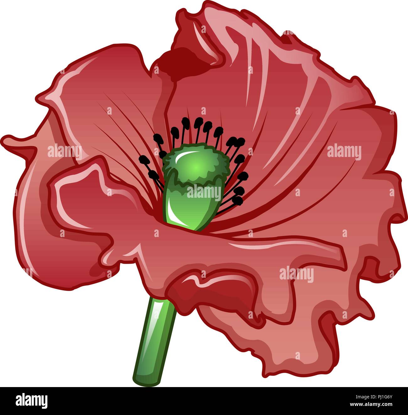 Garden poppy icon, cartoon style Stock Vector Image & Art - Alamy