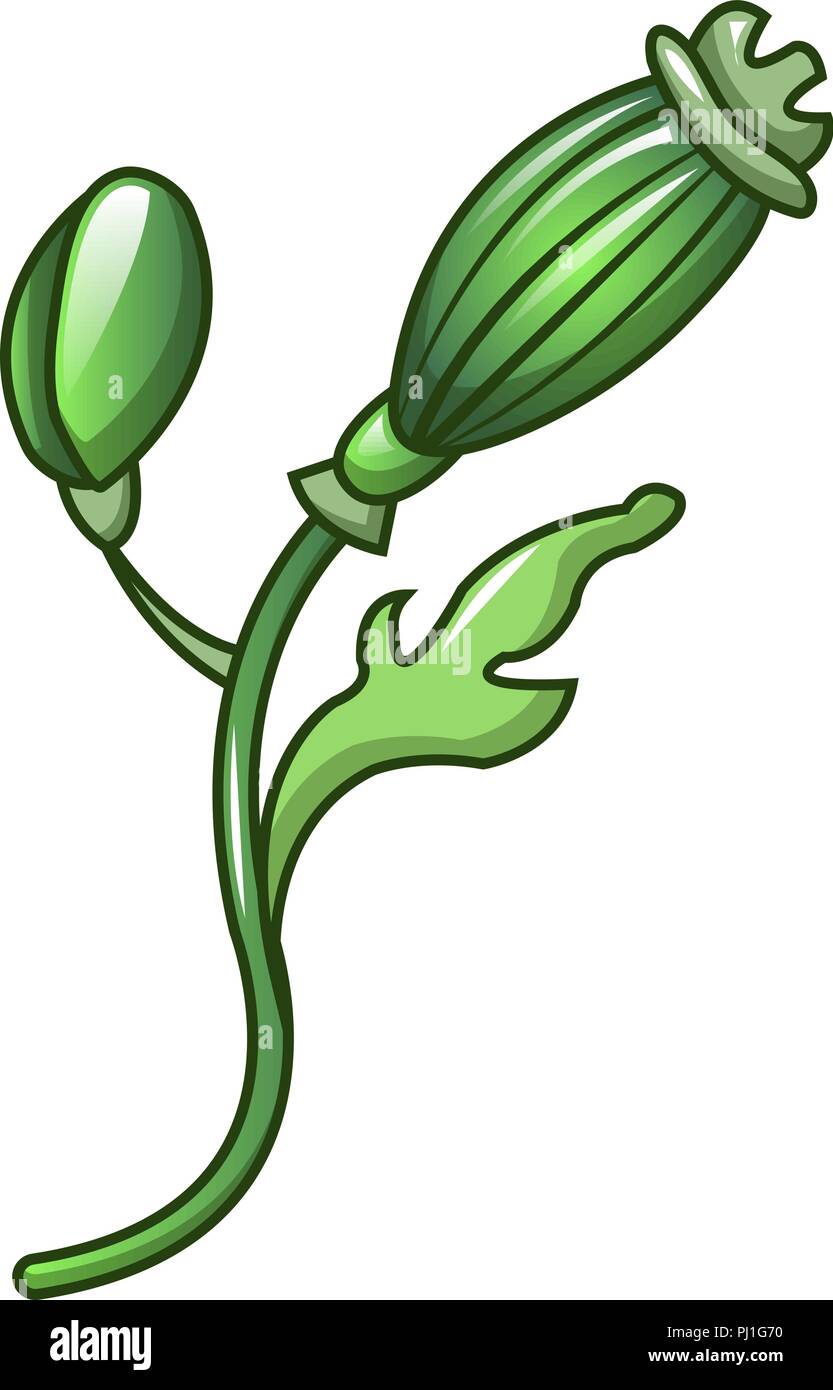Green small poppy icon, cartoon style Stock Vector Image & Art - Alamy