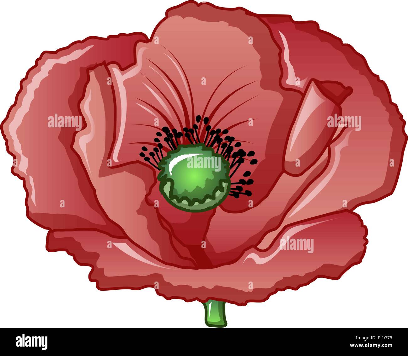 Farm poppy icon, cartoon style Stock Vector Image & Art - Alamy