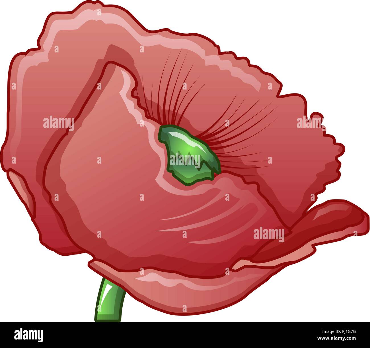 Opium poppy icon, cartoon style Stock Vector Image & Art - Alamy