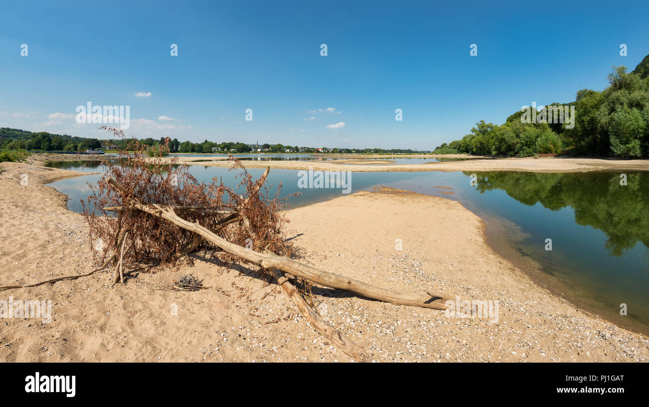 Dried-out riverbed with sandbanks and wooden flotsam in the river Rhine ...