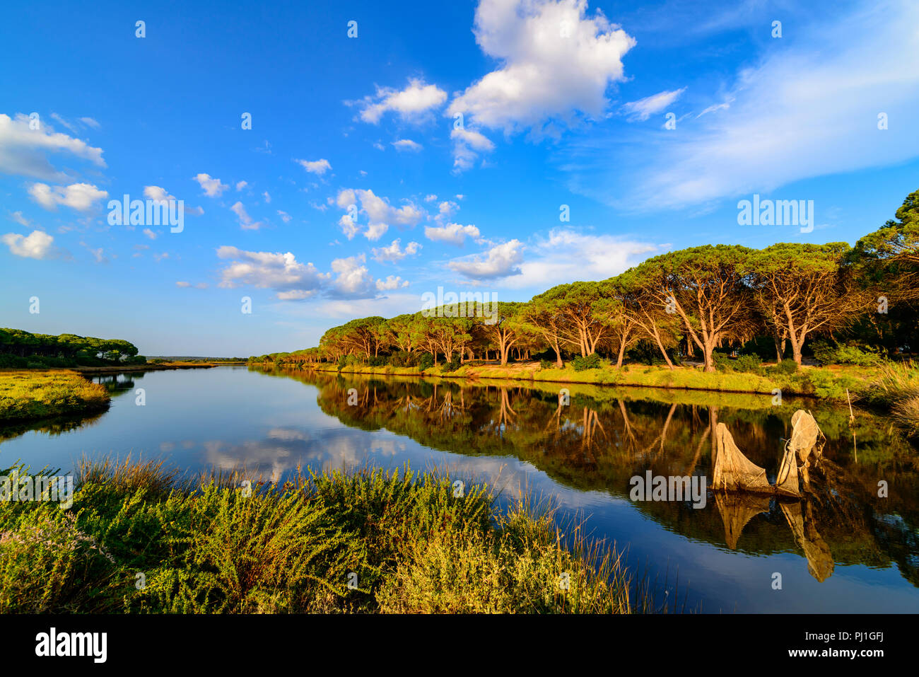 River that flows into the sea hi-res stock photography and images - Alamy