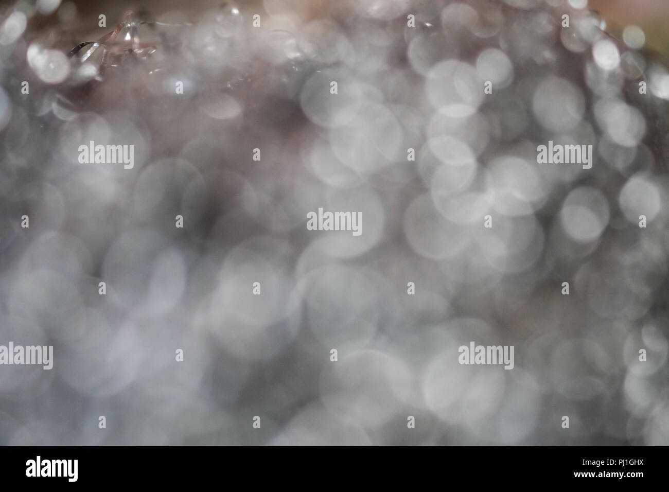 Boken effect hi-res stock photography and images - Alamy