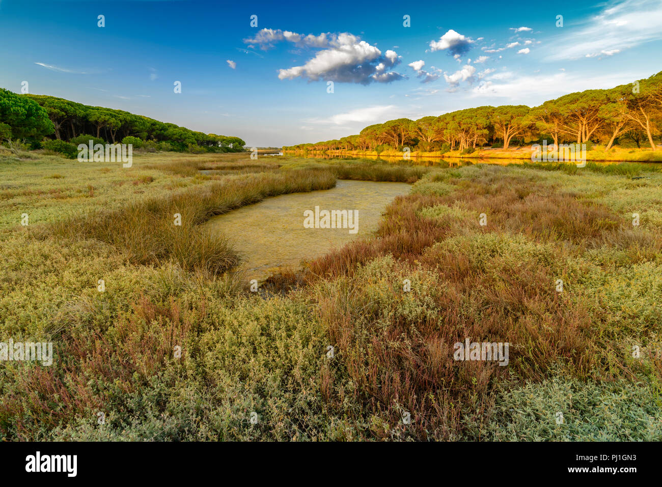 Osalla orosei hi-res stock photography and images - Alamy