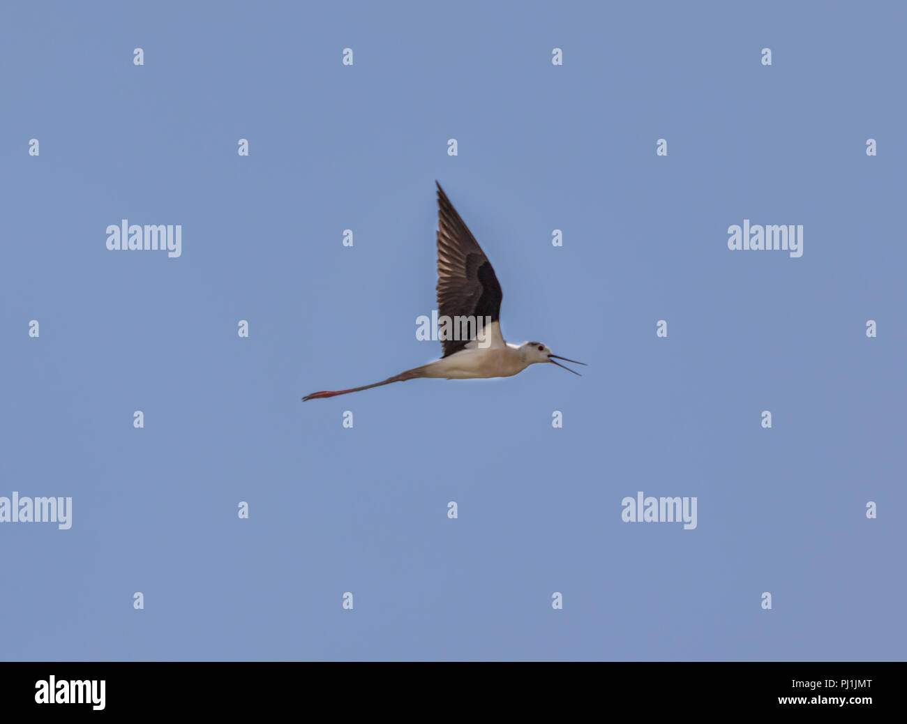 Halfaway between Konya and Ankara is located the Tuz Gulu, one of the ...