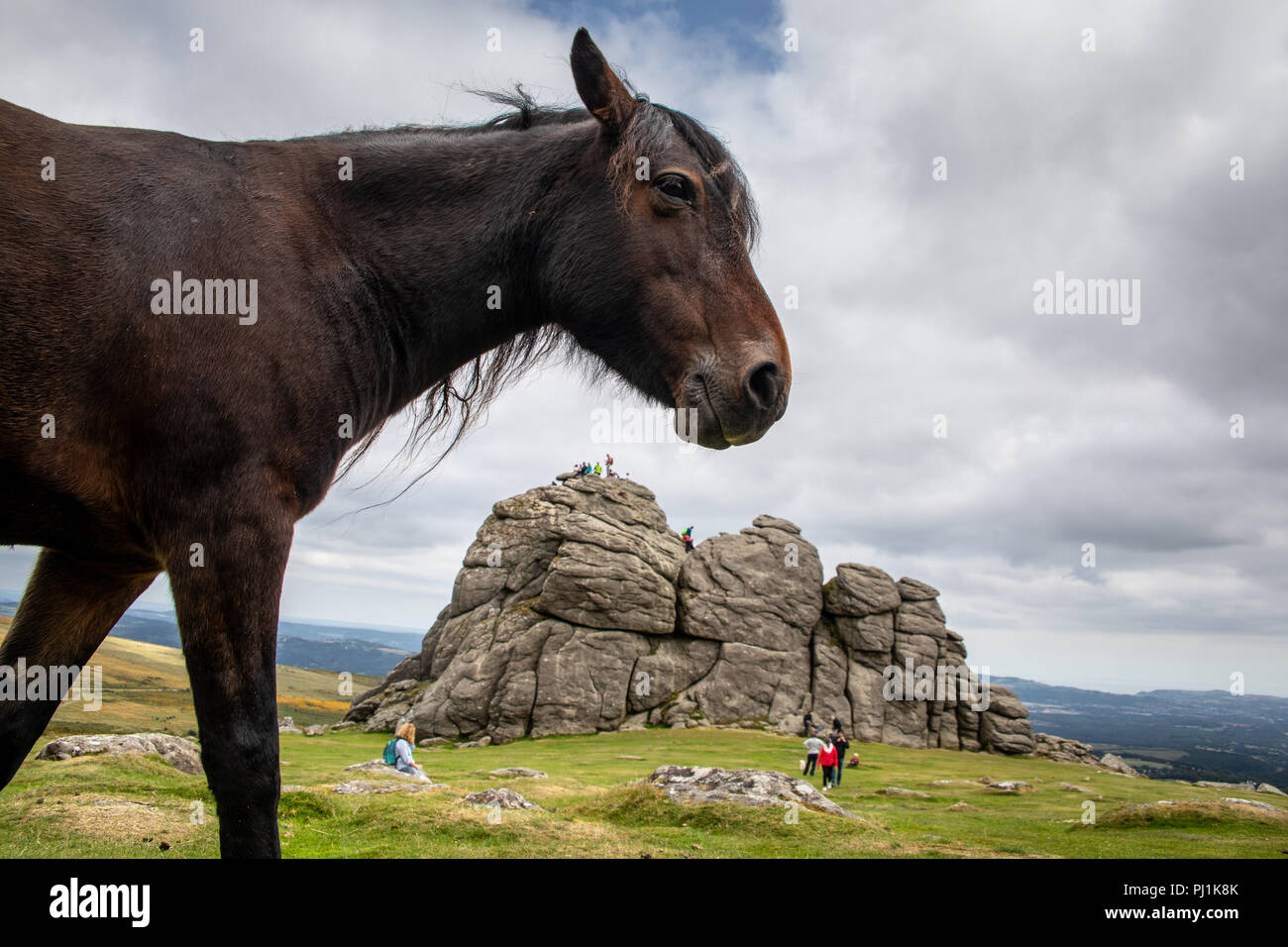 Haytor on Dartmoor, UK Stock Photo - Alamy