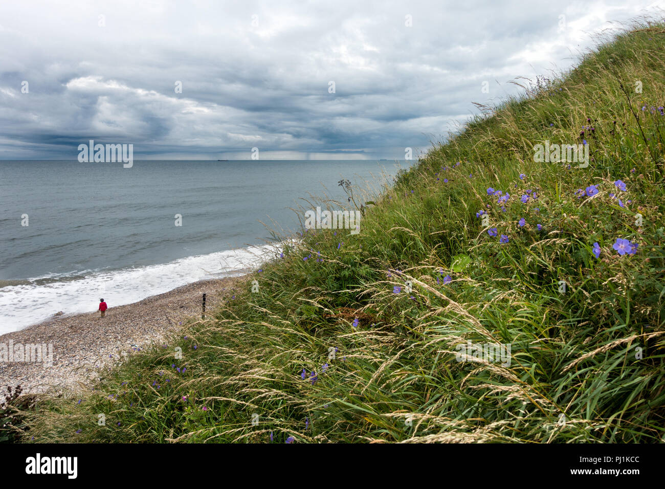 Seaham Hall Beach, County Durham, UK Stock Photo - Alamy