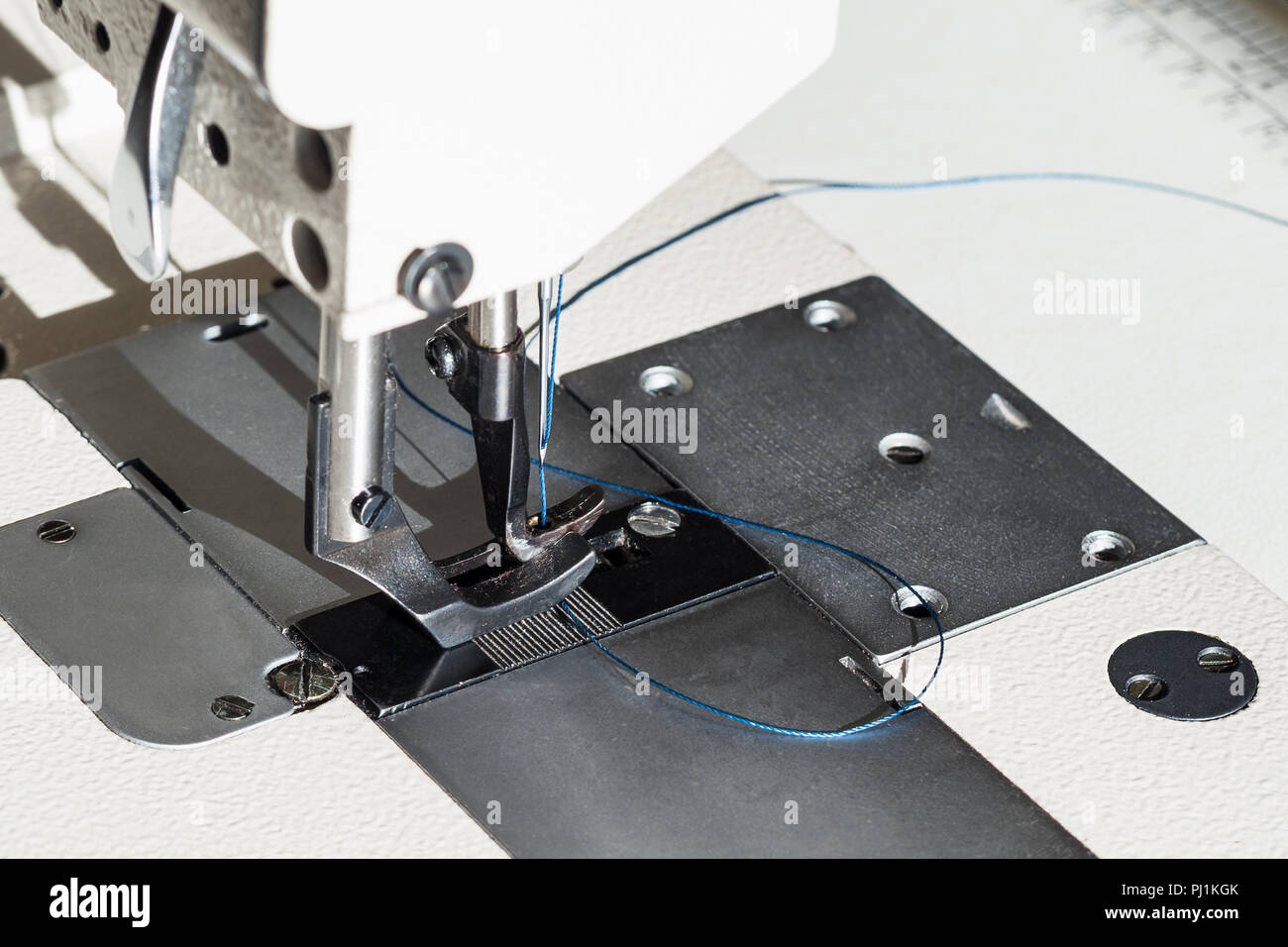 presser foot and needle of industrial sewing machine close up Stock ...