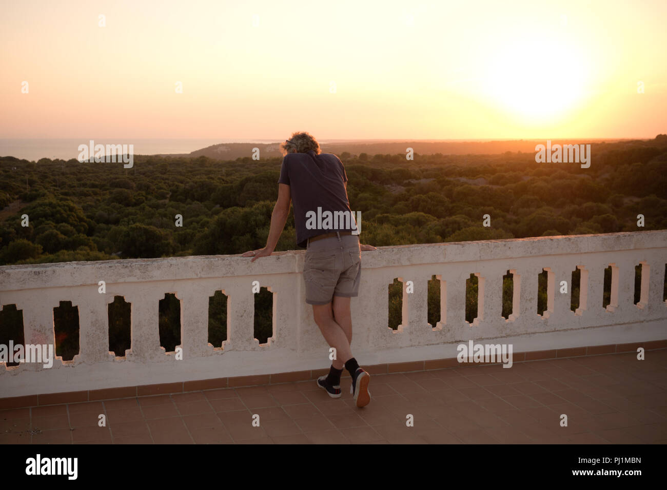 rear view of adult male leaning on roof top terrace balustrade of villa ...
