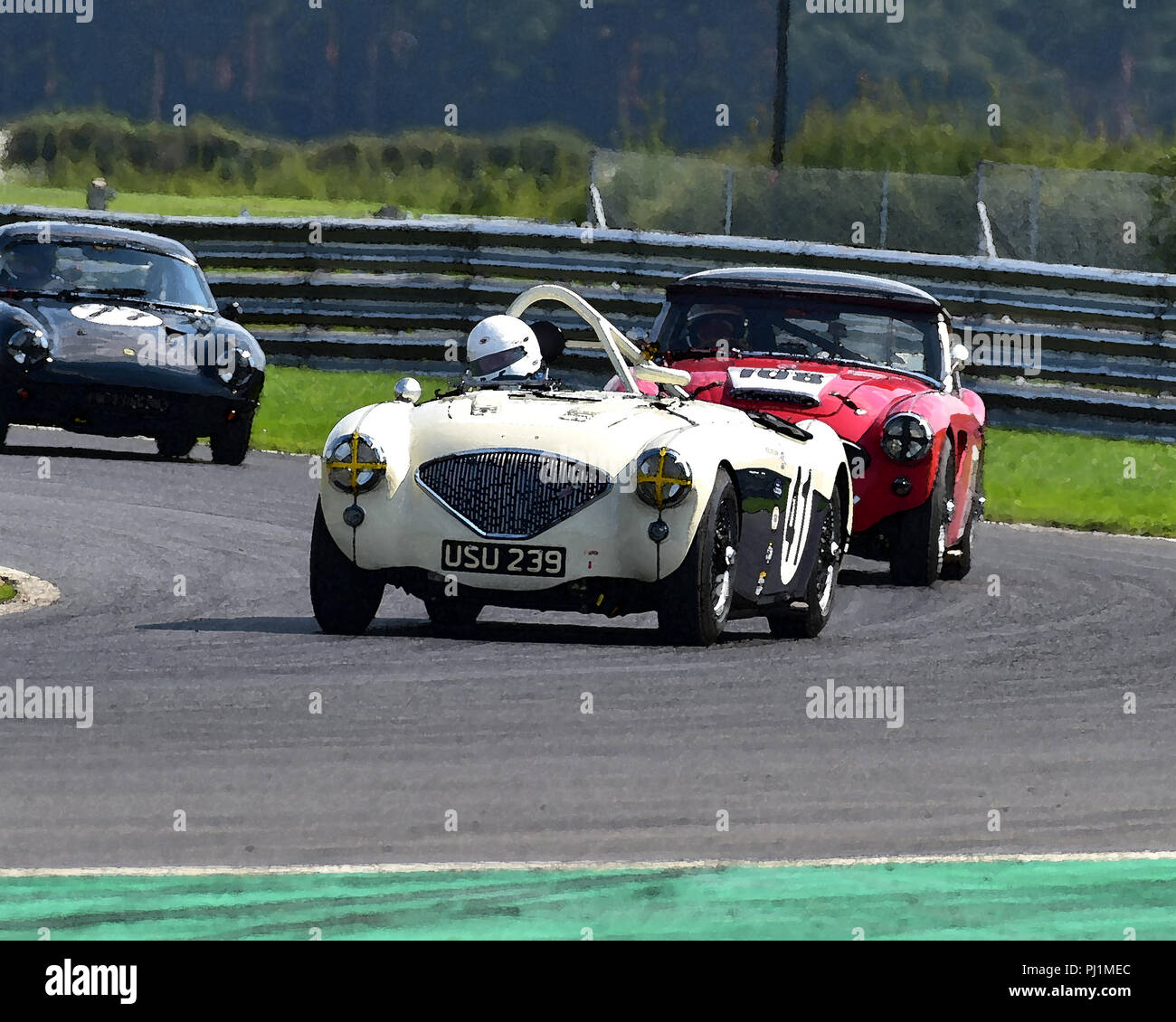 Nick Brayshaw, Austin Healey 100M, Equipe Pre 63, Aston Martin Owners ...