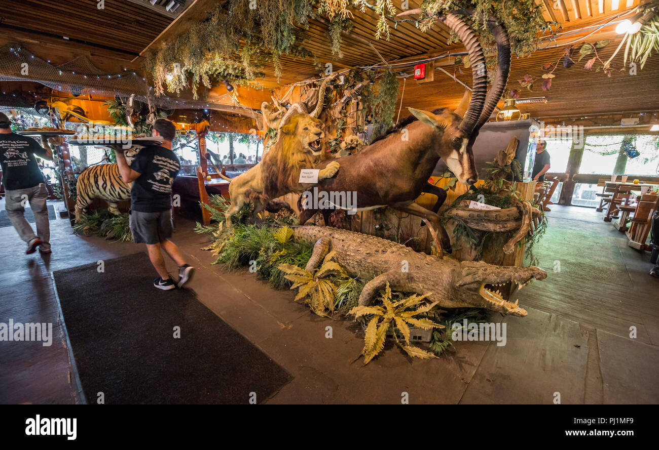 Clarks Fish Camp is a unique and rustic seafood restaurant located on ...