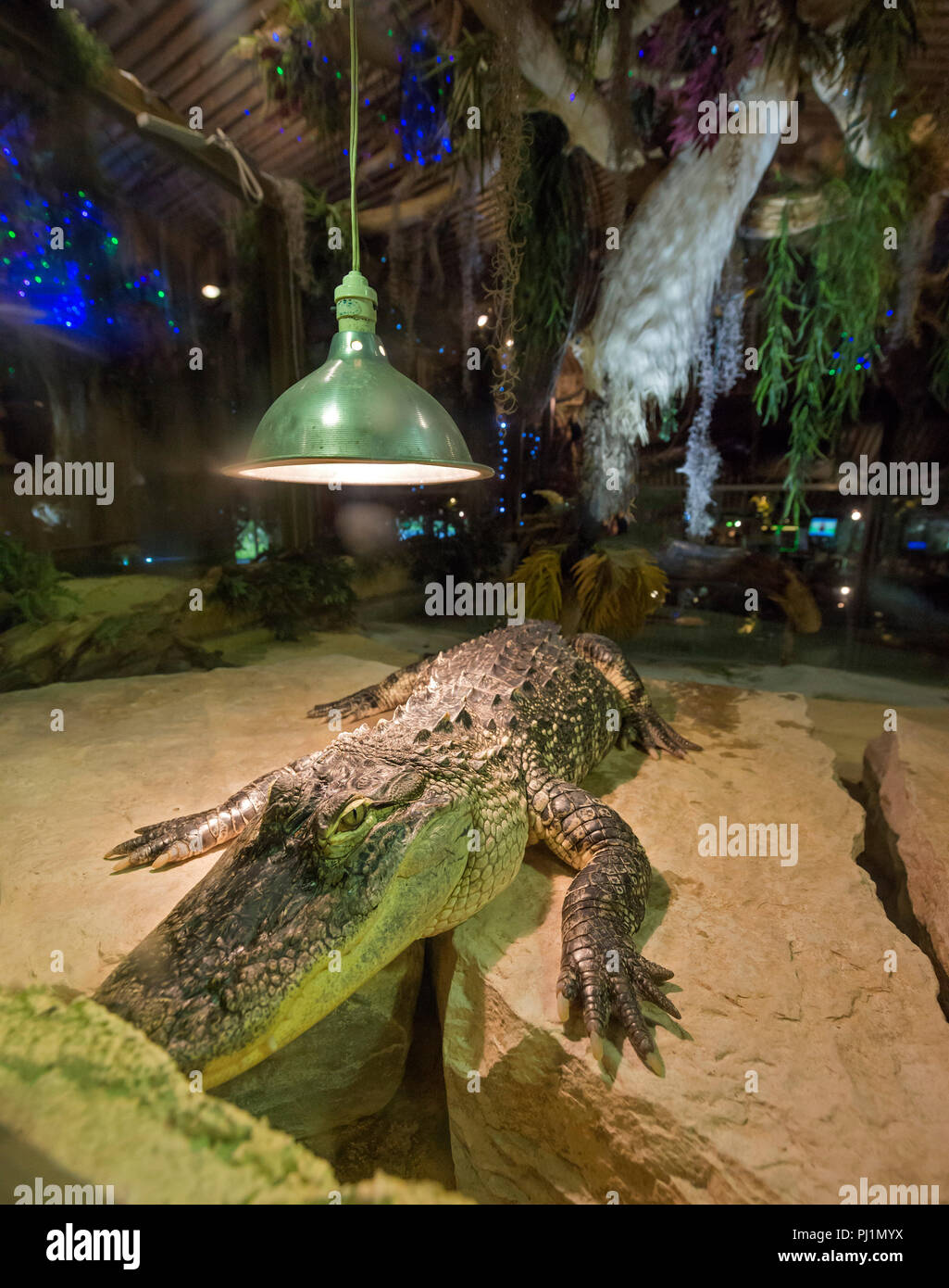 Clarks Fish Camp is a unique and rustic seafood restaurant located on ...