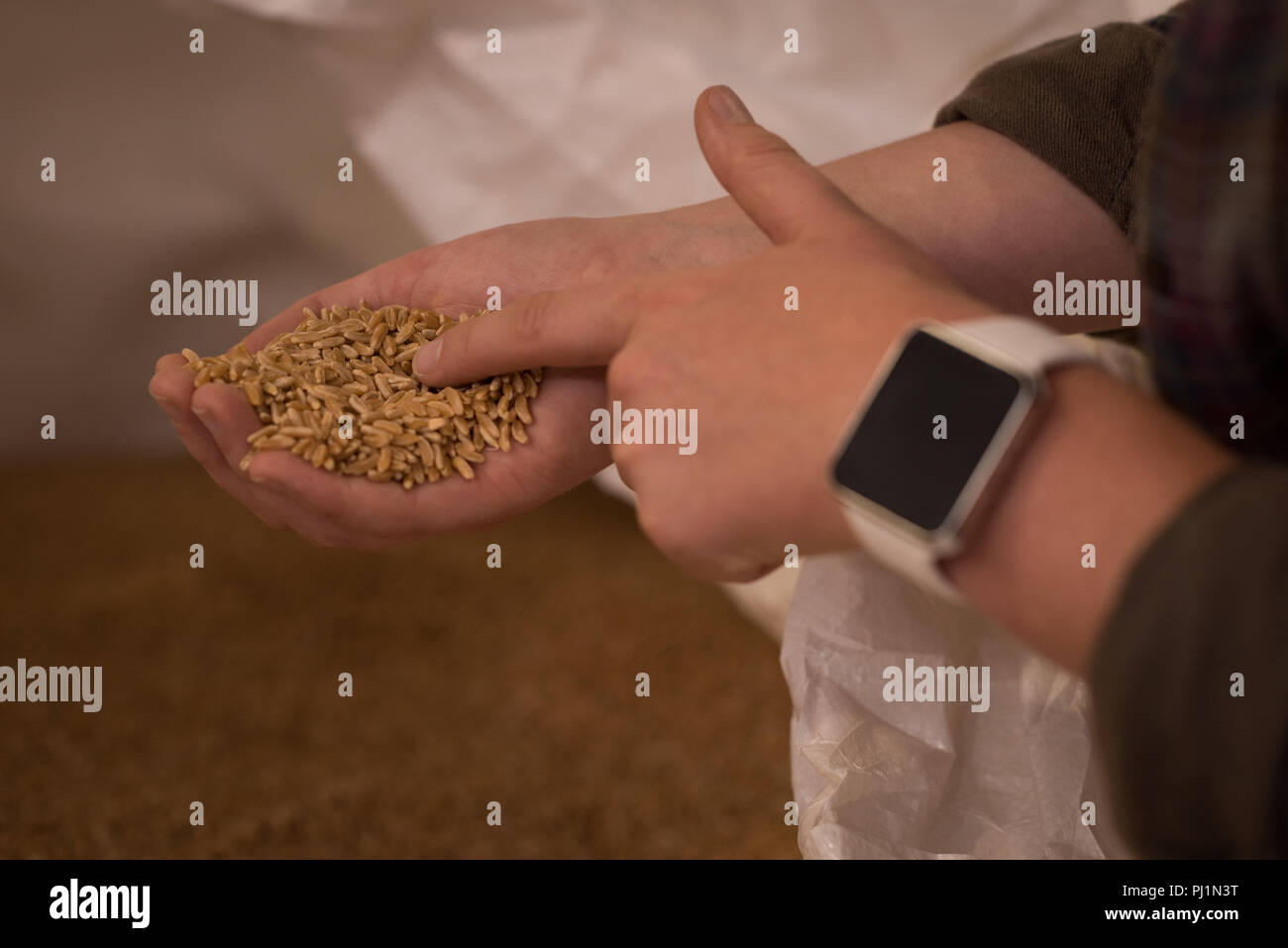Female worker checking grains at warehouse Stock Photo - Alamy