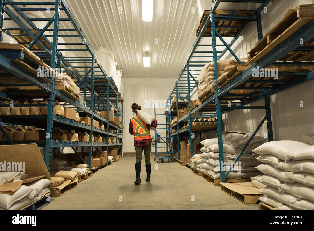 Female worker carrying bulk bag at warehouse Stock Photo - Alamy