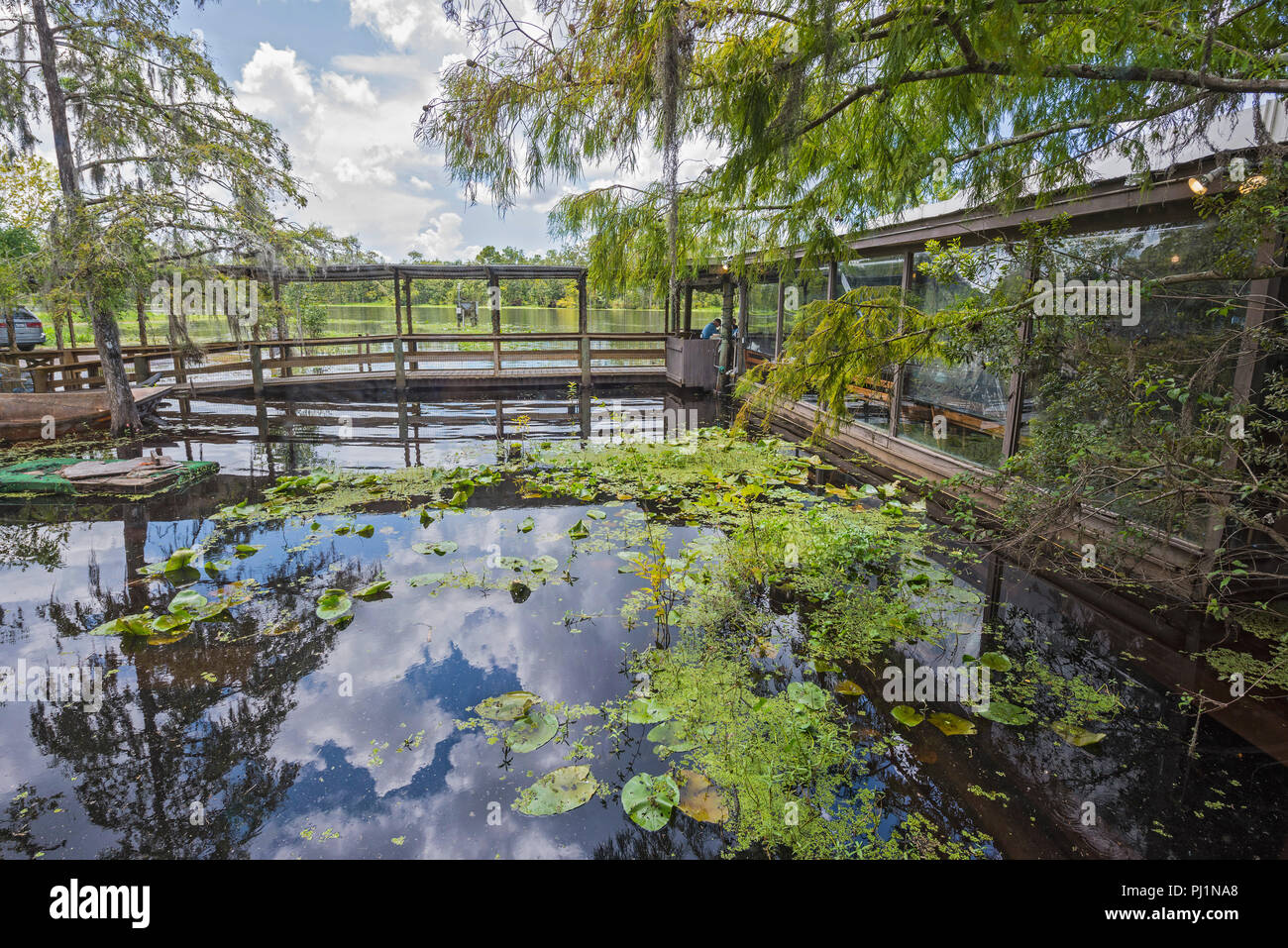 Clarks Fish Camp is a unique and rustic seafood restaurant located on ...