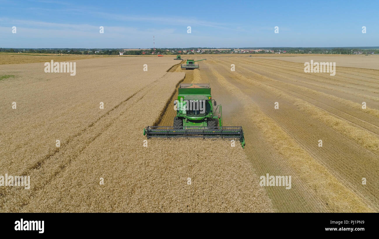 Combine harvester at work harvesting field wheat. Aerial view Combine ...