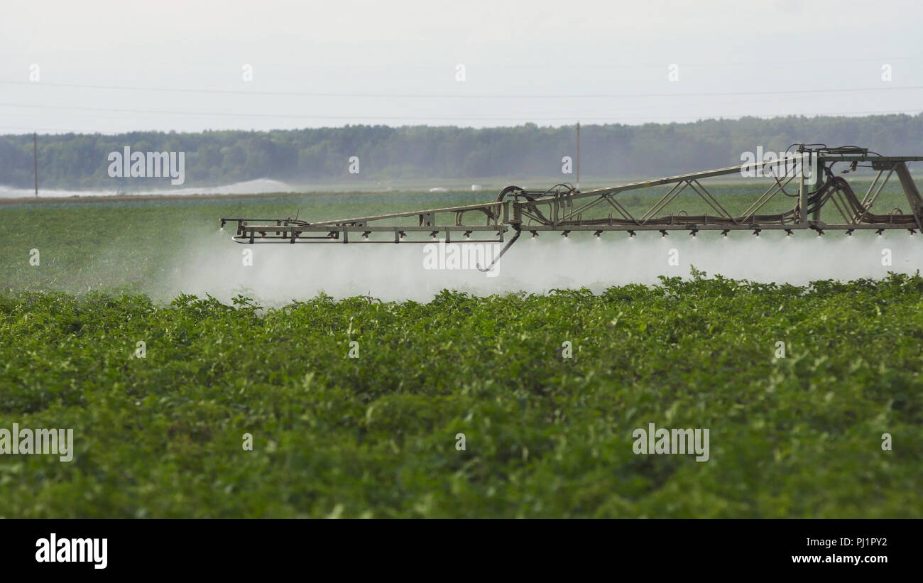 Aerial view tractor spraying the chemicals on the large green field ...