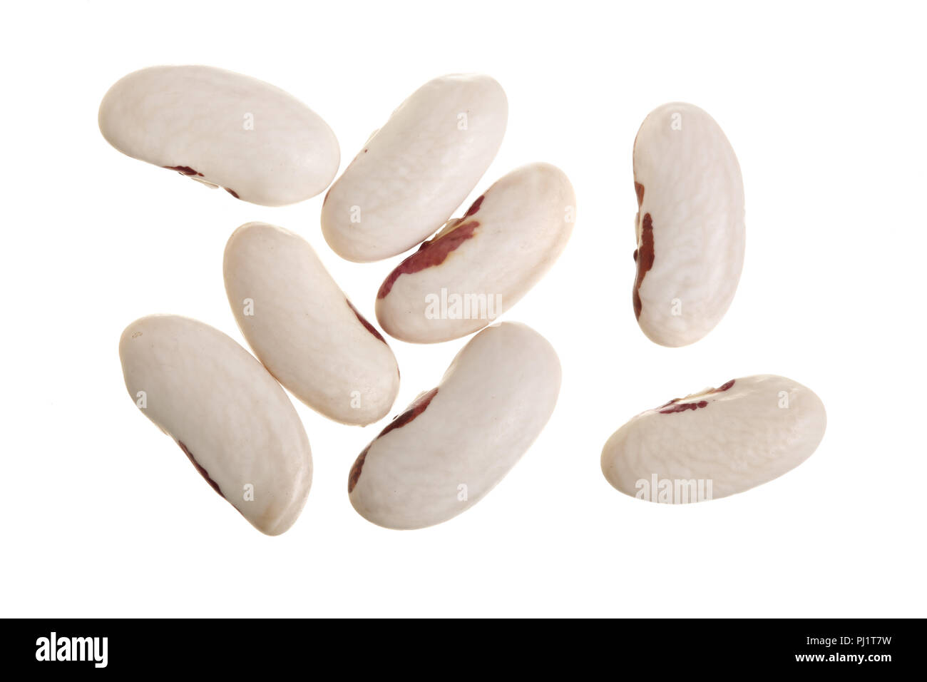 White kidney beans isolated on white background close up. Top view ...