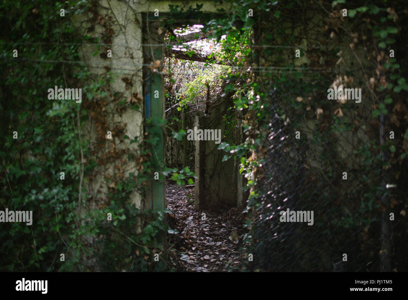 Derelict building that was once part of the terminal of the Aust Ferry ...