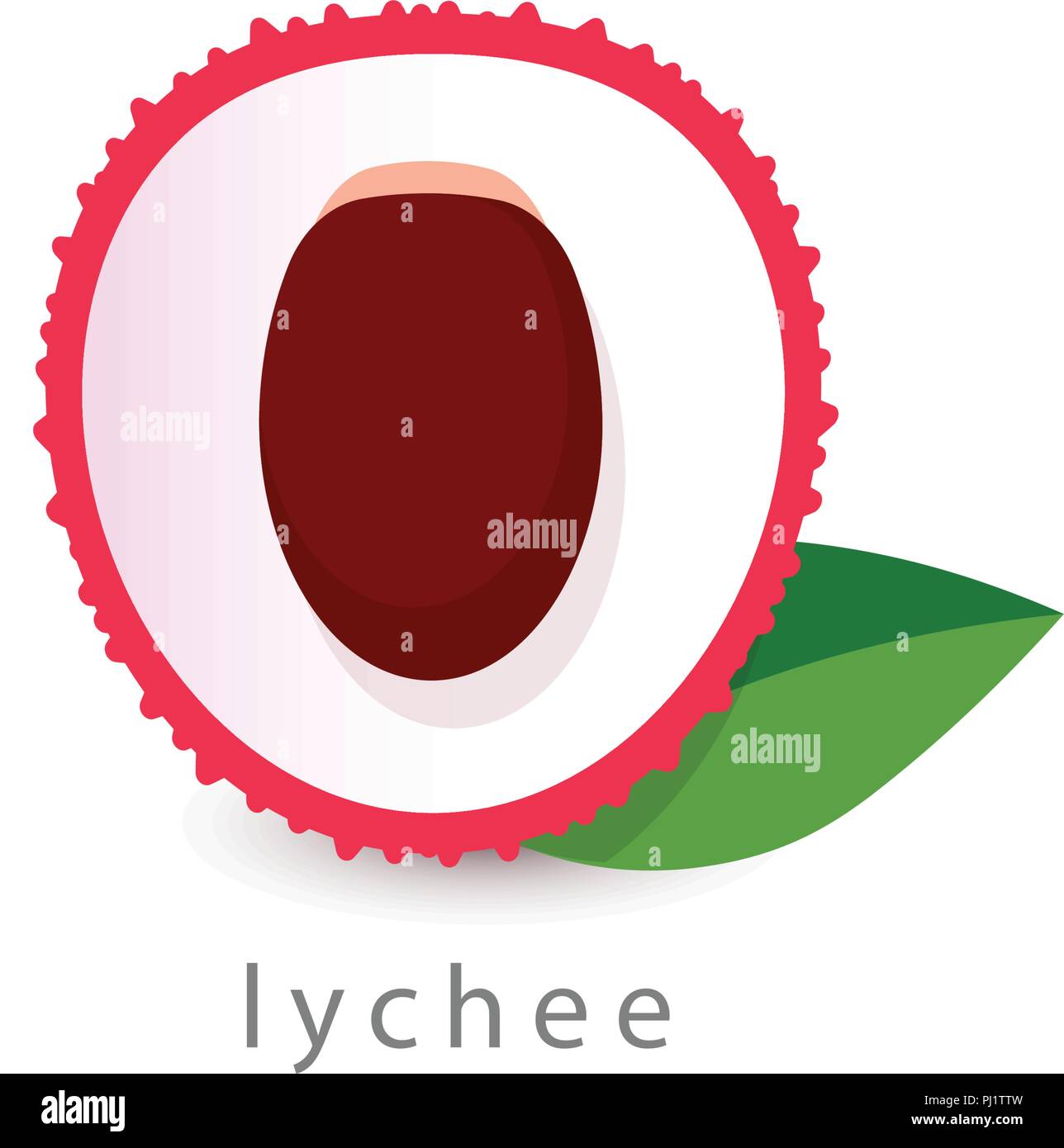 Lychee simple icon. Vegan logo template, minimalism style. Half fruit ...