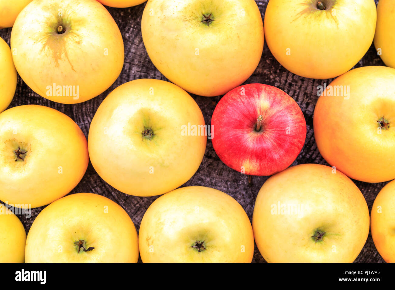 Yellow and red apples on the old wooden table. autumn background. The ...