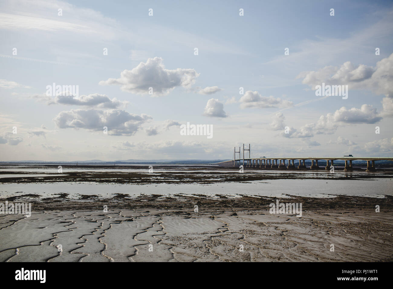 Severn estuary birds hi-res stock photography and images - Alamy