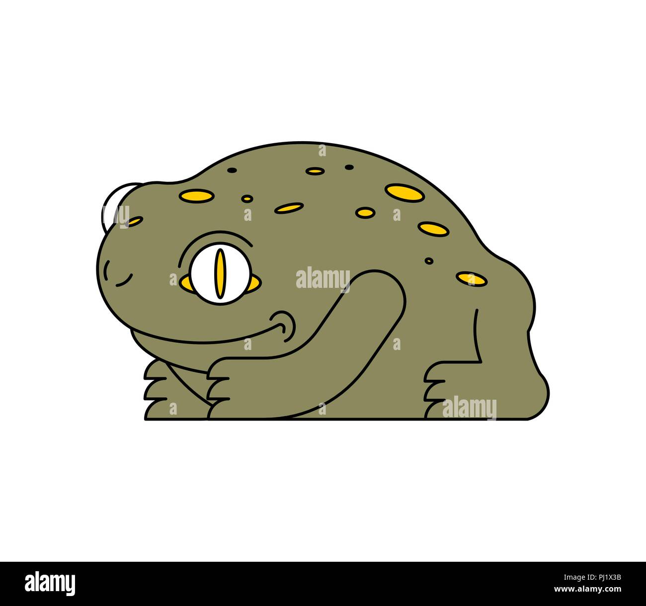 Frog isolated. Toad on white background. Vector illustration Stock ...