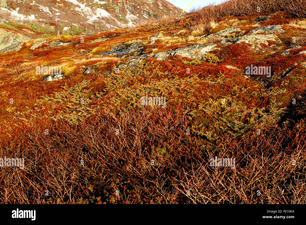 Scenics at St. Anthony Bight on the northern tip of Newfoundland ...