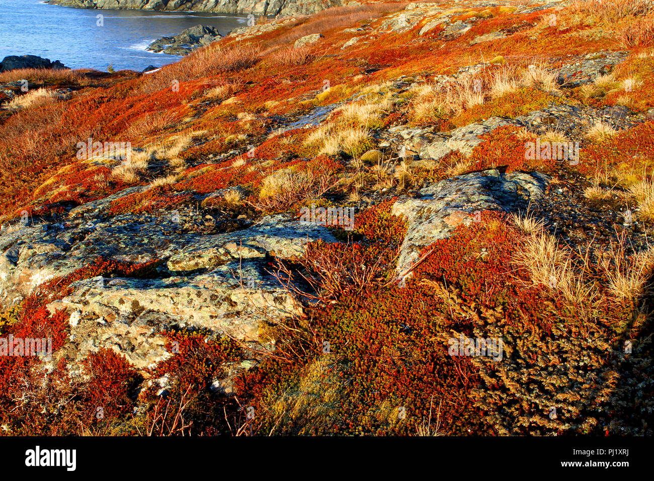 Scenics at St. Anthony Bight on the northern tip of Newfoundland ...