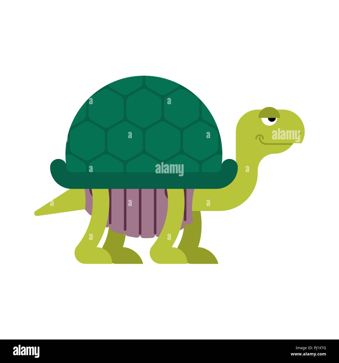 Turtle cartoon style isolated. tortoise Vector illustration Stock ...