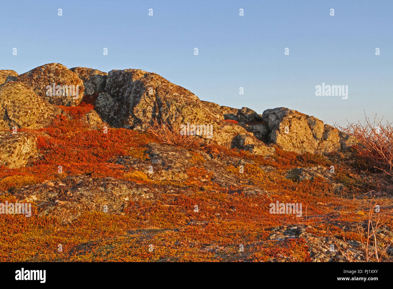 Bight colours hi-res stock photography and images - Alamy
