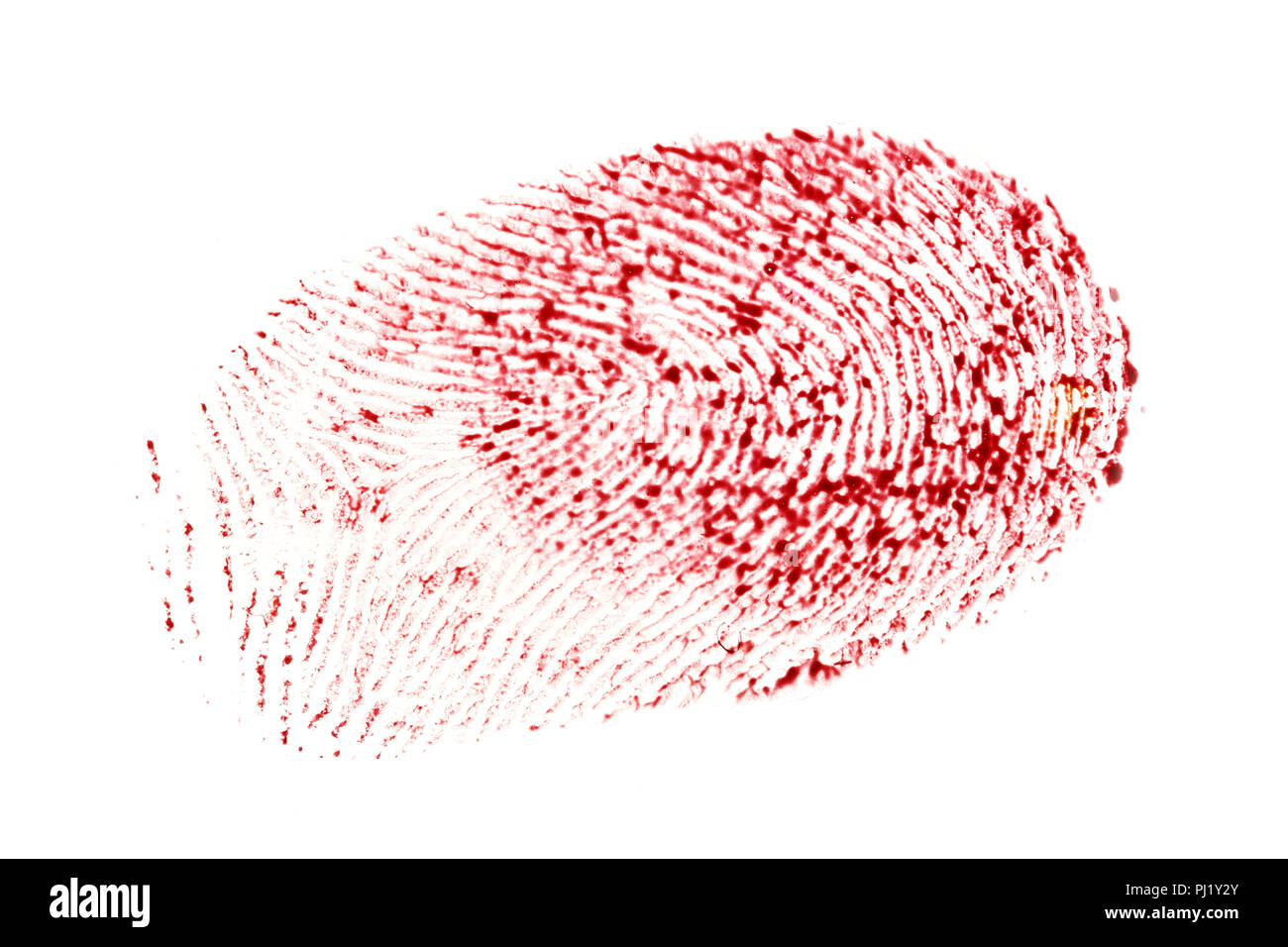 Bloody fingerprint isolated on a white background Stock Photo - Alamy