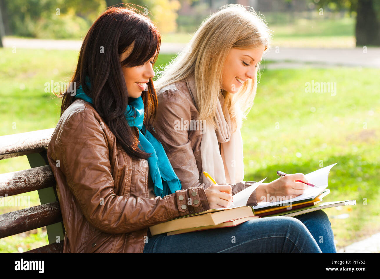 Students learning together Stock Photo - Alamy