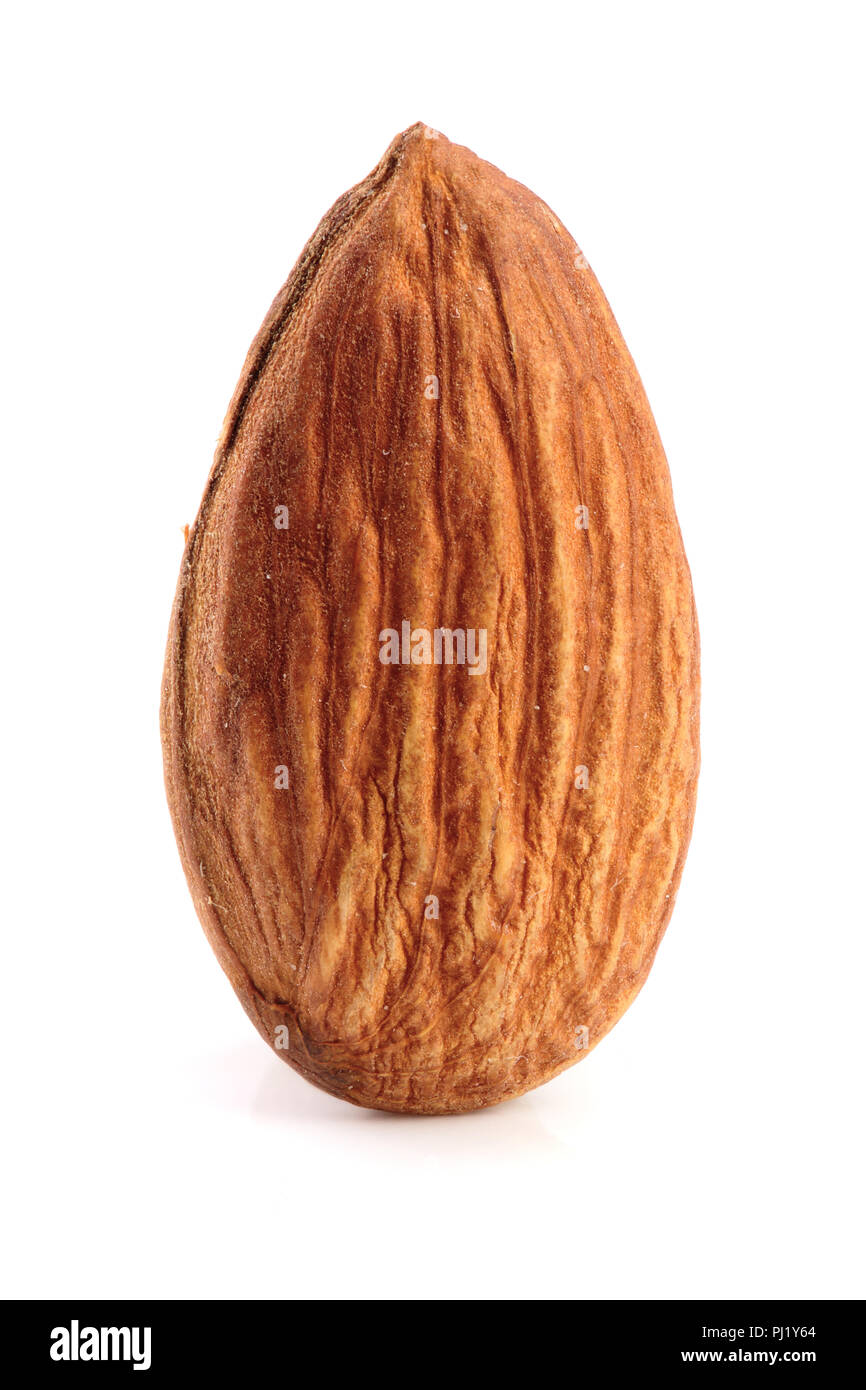 One almond isolated on white background macro Stock Photo - Alamy