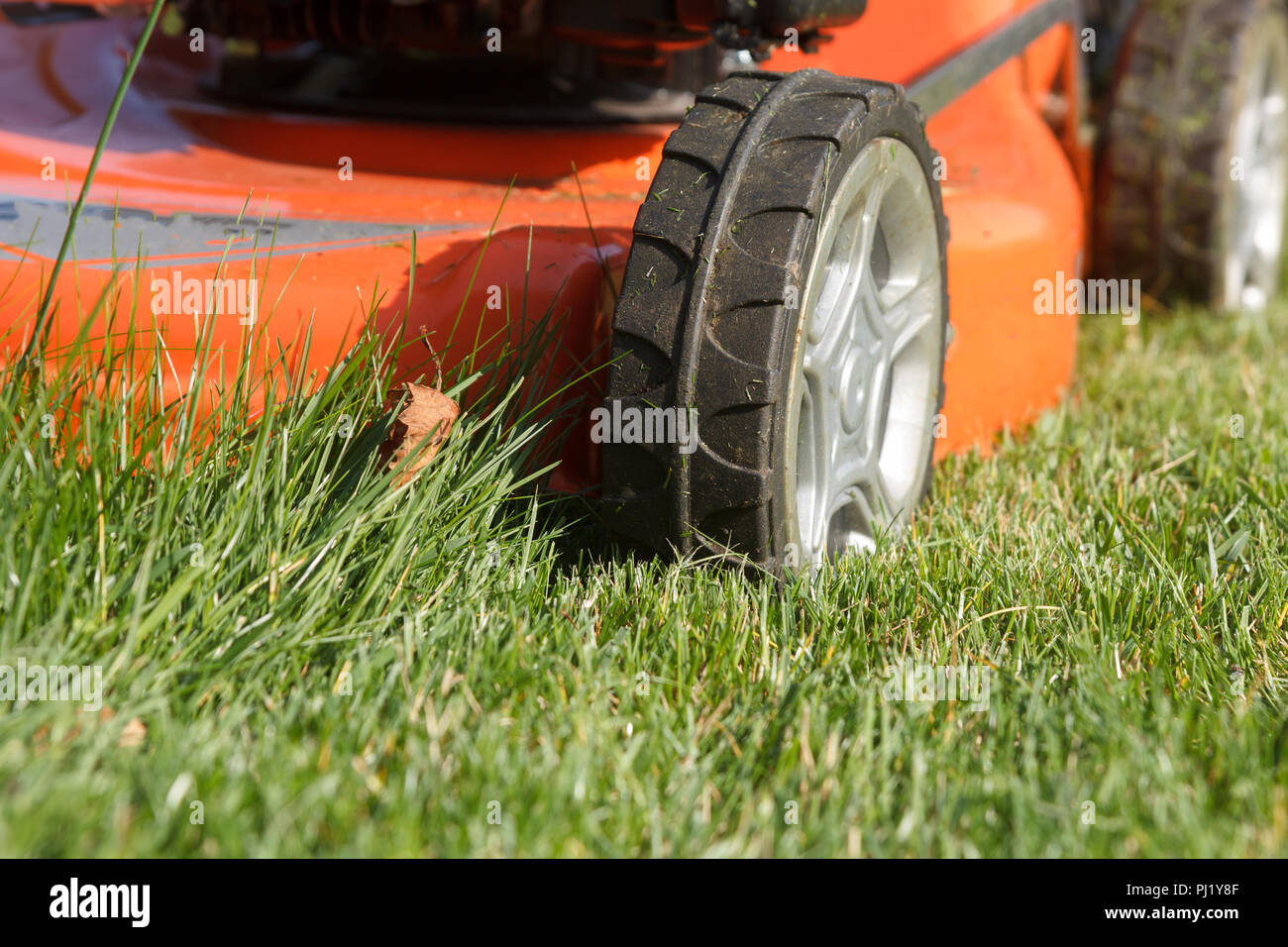 Red lawn mower hi-res stock photography and images - Alamy