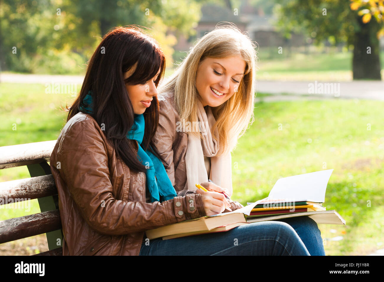 Students learning together Stock Photo - Alamy