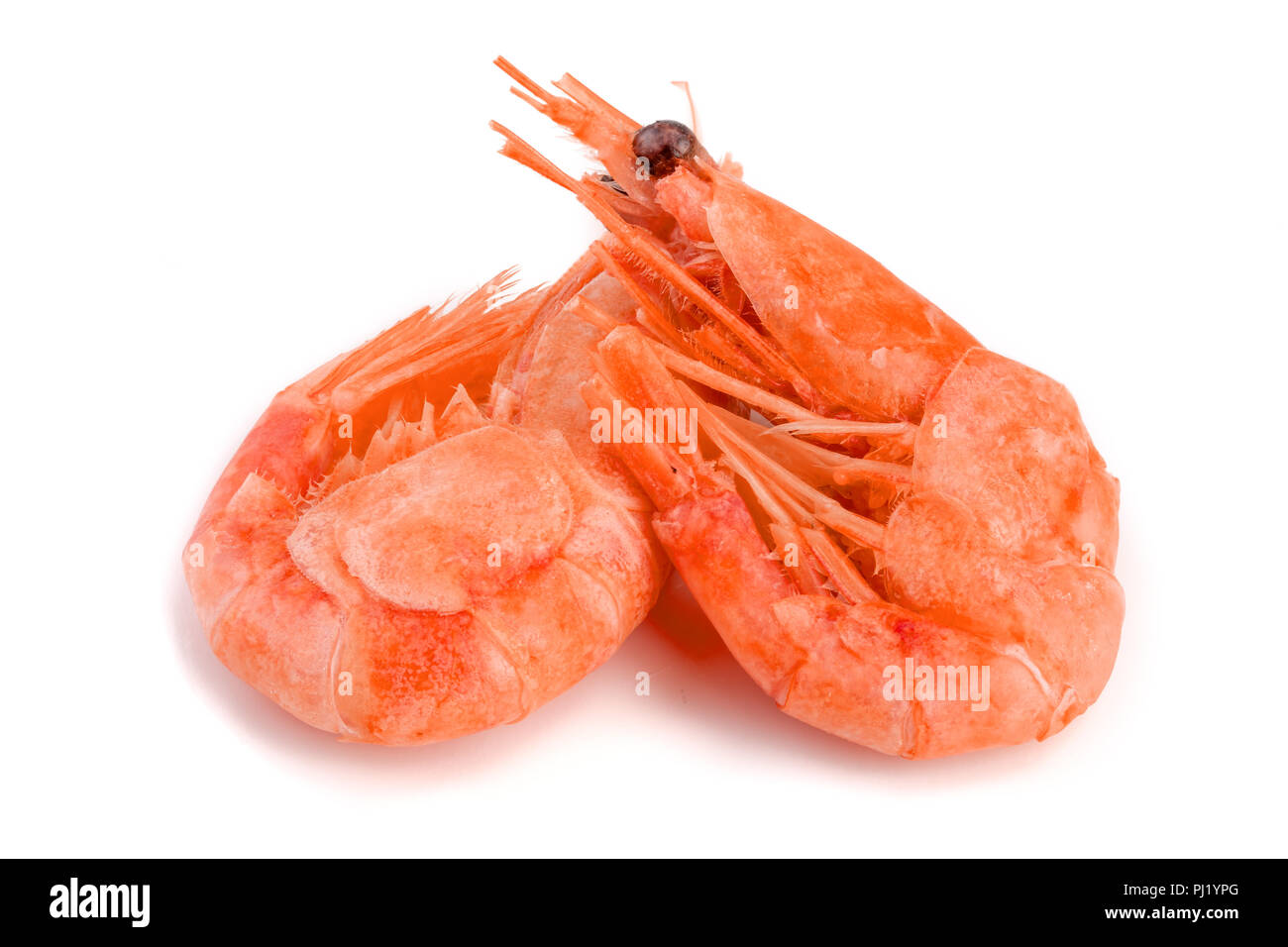 King prawn dish Cut Out Stock Images & Pictures - Alamy