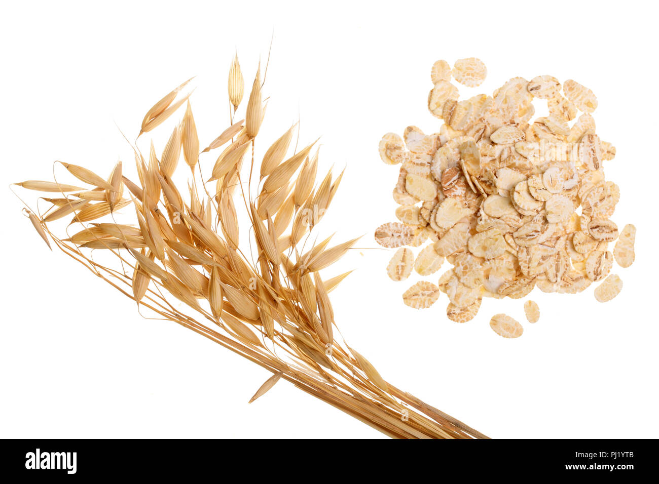 oat spike with oat flakes isolated on white background. Top view Stock ...